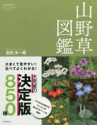アサヒ園芸BOOK 朝日新聞出版 植物／日本／図鑑 399P　24cm サンヤソウ　ズカン　オオキクテ　ミヤスイ　クラベテ　ヨク　ワカル　ハツピヤクゴジツシユ　850シユ　アサヒ　エンゲイ　ブツク　アサヒ／エンゲイ／BOOK カネダ，ヨウイチロウ