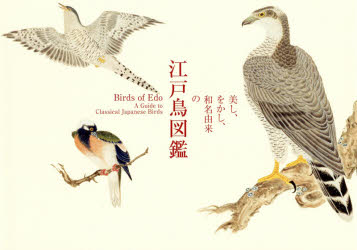 パイインターナショナル 鳥／日本／歴史／江戸時代　動物画／歴史 209P　18×26cm ウツクシ　オカシ　ワメイ　ユライ　ノ　エド　トリズカン オオハシ，コウイチ