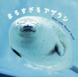 パイインターナショナル アザラシ／写真集 102P　15×15cm マルスギル　アザラシ クワダ，チホ