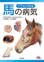 緑書房 馬／疾患 78P　30cm イラスト　デ　ミル　ウマ　ノ　ビヨウキ バルバ，マルタ　BARBA，MARTA　シユ−マツハ，ジヨン　R．　SCHUMACHER，JOHN　R．　ホボ，セイジ　コウノ，アキ