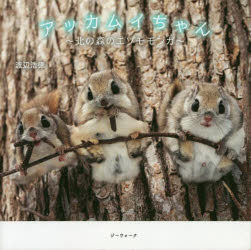 ジーウォーク モモンガ／写真集 108P　15×15cm アツカムイチヤン　キタ　ノ　モリ　ノ　エゾモモンガ ワタナベ，ヒロノリ