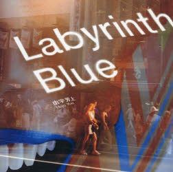 日本写真企画 155P　25×25cm ラビリンス　ブル−　LABYRINTH　BLUE ユウ，ホウジヨウ