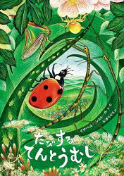 岩波書店 〔50P〕　31cm タビスル　テントウムシ シムレ−ル，イザベル　SIMLER，ISABELLE　イシズ，チヒロ