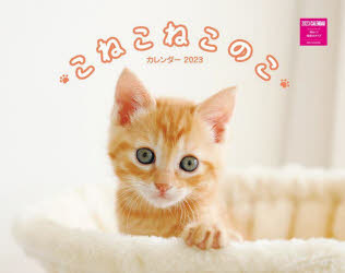 ネコ・パブリッシング 2023　コネコ　ネコ　ノ　コ　カレンダ−