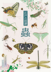 河出書房新社 絵画（日本）／歴史／江戸時代／画集　昆虫／美術上 111P　26cm エド　ノ　ズフ　ムシ カノ，ヒロユキ