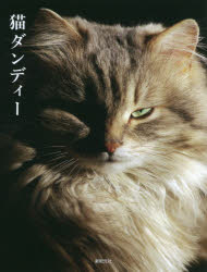 新紀元社 猫／写真集 79P　20cm ネコ　ダンデイ−