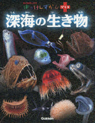 はっけんずかんプラス　まどあきしかけ 学研プラス 深海動物 34P　29cm シンカイ　ノ　イキモノ　ハツケン　ズカン　プラス　マドアキ　シカケ