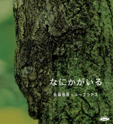 かがくのとも絵本　knowing　how 福音館書店 擬態（生物） 〔30P〕　26cm ナニカ　ガ　イル　カガク　ノ　トモ　エホン　ノウイング　ハウ　KNOWING　HOW サトウ，マサヒコ　ユ−フラテス