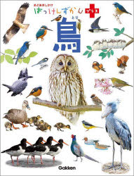 はっけんずかんプラス　まどあきしかけ Gakken 鳥 34P　29cm トリ　ハツケン　ズカン　プラス　マドアキ　シカケ