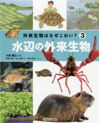 外来生物はなぜこわい？　　　3 ミネルヴァ書房 外来種／日本　水生生物 31P　27cm ガイライ　セイブツ　ワ　ナゼ　コワイ　3　3　ミズベ　ノ　ガイライ　セイブツ アベ，コウシ　マルヤマ，タカシ　コミヤ，テルユキ　ムカイダ，トモヤ