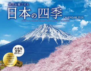 メディアソフト