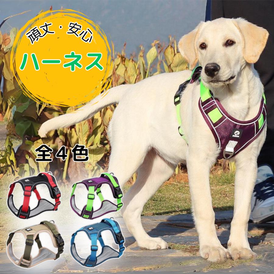 商品情報 首にかかる負担を胸と胴体に分離させ体の負担を最小限に抑えられる。 全て反射効果がある為、暗い夜道も安心安全。 フック部分は亜鉛合金素材を使用しているので耐久性抜群。 二重にフックをかけるとしっかり固定され安心性抜群。 背面のベルク...