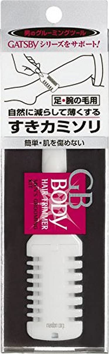 商品説明■　刃物ですので 取り扱いには十分注意してください 分解できません。　けがや破損の原因となります 落としたり強い衝撃を与えないでください 刃こぼれの原因となり肌を傷めるおそれがあります 髪の毛には使用しないでください 子供の手の届か...