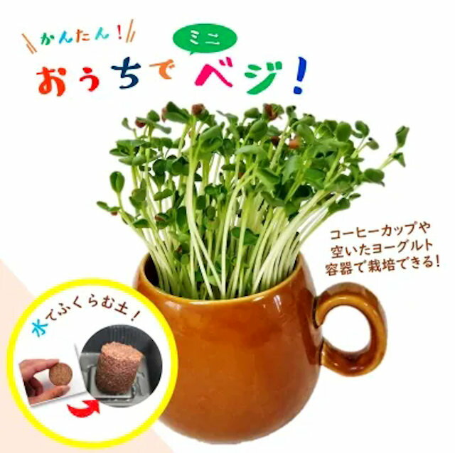 商品説明 育てる！食べる！楽しむ！スプラウトのミニ栽培キット！ 誰でもカンタンに栽培できるスプラウト栽培キットです。 室内で、約1週間で収穫できる手軽なミニグリーン。 栽培初心者の方にもおすすめです！ 誰でも手軽に栽培できます！ 1．ふくら...