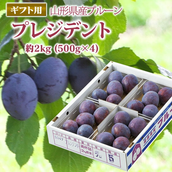 ★9月上旬～中旬頃より順次発送予定★【お届け日指定不可】お届け日の指定ができますが、お受けできません。領収書・明細書の同封もお受けできません。 ●注意1●青果物のためお届け日の指定不可となります。ご理解いただいた上でご購入お願い致します。 ...
