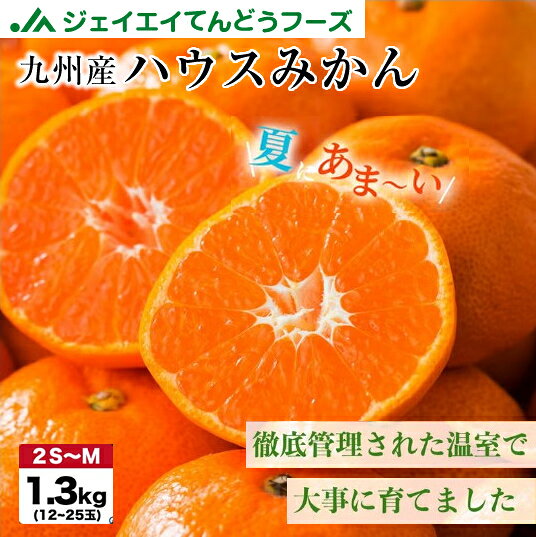 夏にあま～いみかんはいかがですか 夏にしか味わえない、濃厚な甘さ！ 希少なハウスみかん。 温度や水分を徹底管理した温室栽培により、高糖度で濃厚な甘みとコクを実現しました。 酸味が少なく、薄皮の中には果汁がたっぷり。冬のみかんとはひと味違う、...