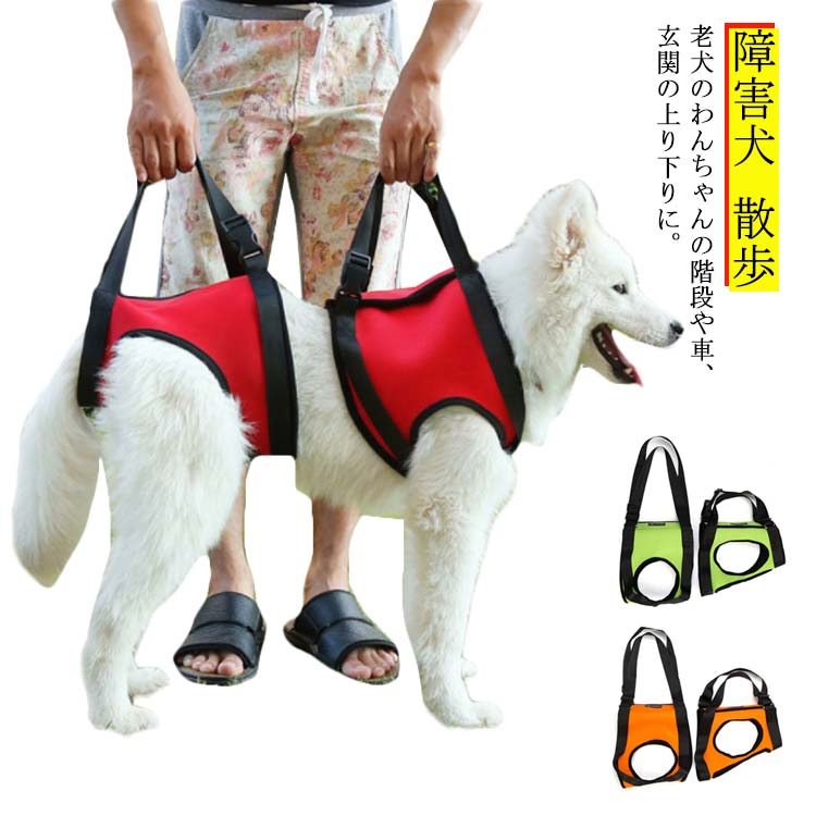 老犬のわんちゃんの階段や車、玄関の上り下りに。ワンちゃんの怪我や関節炎からのリハビリ用にもお手伝いします。フロントハーネス、またはバックハーネスのみからの選択ができます。小型の中型犬から大型犬にフィットします。・おしっこ用の穴があり、犬の肛...