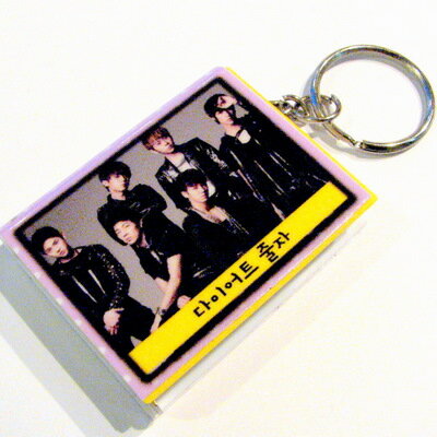 キーホルダータイプ 長さ：93cm、大きさ：3.5cm×4.5cm　