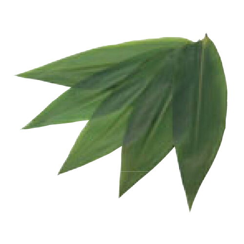 商品情報商品名：天然笹葉(100枚入)5142 8S寸法：約70～90×約310送料区分：小物送料お届け数（合計）：1商品コード：aa1-5282210配送料について【ご注意】画面上の色はブラウザやご使用のパソコンの設定により実物と異なる場...