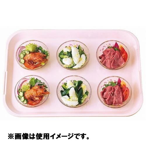 商品情報商品名：FRP プリセットトレー H－6000 440×310×H28メーカー型番：1018300JANコード：4523927301716入り数：1サイズ(外形寸法mm)：440×310(高さ：28)サイズ(内形寸法mm)：385×...