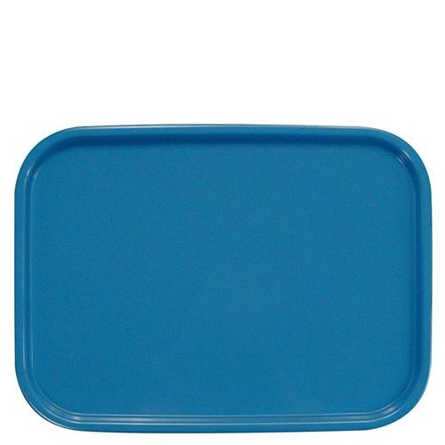 商品情報商品名：カラーコレクショントレー L アクアブルーメーカー型番：1107500JANコード：4932903123738入り数：1サイズ(外寸mm)：420×310×H18サイズ(内寸mm)：-重量：-材質：AS樹脂 ウレタン塗装耐熱...