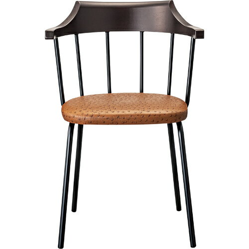 ■商品説明■商品名：レンディイスBL メーカー：プロシード(丸二金属)メーカー品番：21879-A外形寸法：幅520×奥行485×高さ740 シート高440(mm)お届け数：1カラー：BL重量：約6.0kg主材等：成形合板:突板/オーク柾目...