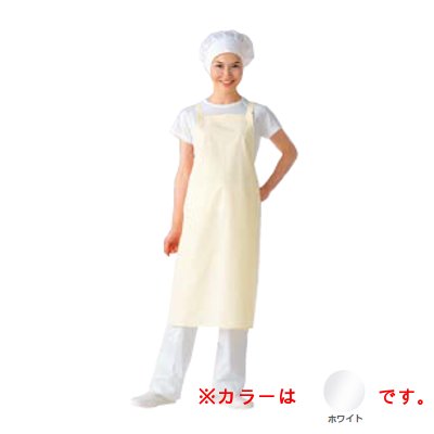 商品情報商品番号：1167400商品名：ウルトラドライエプロン たすき掛けタイプ E1004-0T ホワイトメーカー：EBMサイズ/内容量/重量：650900 / 容量： / 重量：90gその他：材質：綿35%、ポリエステル65%●テフロン...