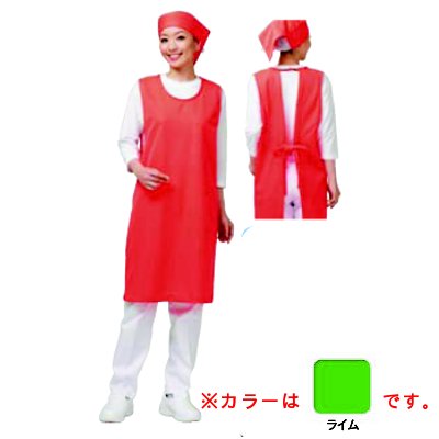 商品情報商品番号：3062920商品名：アイメッシュエプロン ノースリーブタイプ E5100 22G ライムメーカー：EBMサイズ/内容量/重量：540940 / 容量： / 重量：270gその他： 配送料について【ご注意】画面上の色はブラ...