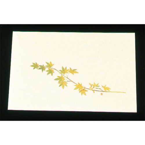 商品情報商品番号：7960300商品名：遠赤外線抗菌和紙 四季の花 尺三懐石まっとクリーム(100枚入) WSS-9 グリーンもみじ 5月から8月メーカー：EBMサイズ/内容量/重量：264×390その他：遠赤外線抗菌和紙四季の花尺三懐石ま...