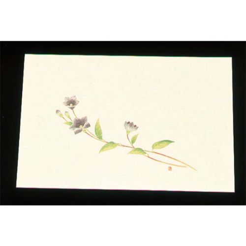 商品情報商品番号：7960700商品名：遠赤外線抗菌和紙 四季の花 尺三懐石まっとクリーム(100枚入) WSS-13 ききょう 9月から10月メーカー：EBMサイズ/内容量/重量：264×390その他：遠赤外線抗菌和紙四季の花尺三懐石まっ...