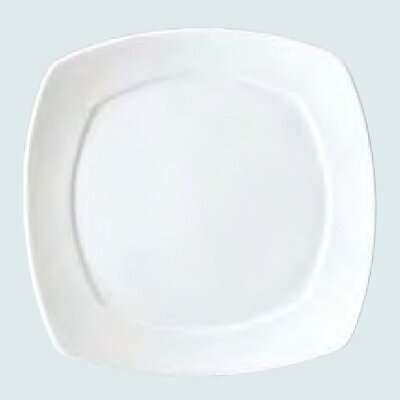 商品情報商品名：プレート 26.5cm寸法：W267×、D267×、H27mmメーカー：Canonお届け数（合計）：1商品コード：fa1-ca2601特記事項：食器洗浄機の対応○、電子レンジの対応○、オーブンの対応×、直火の対応×配送料につ...