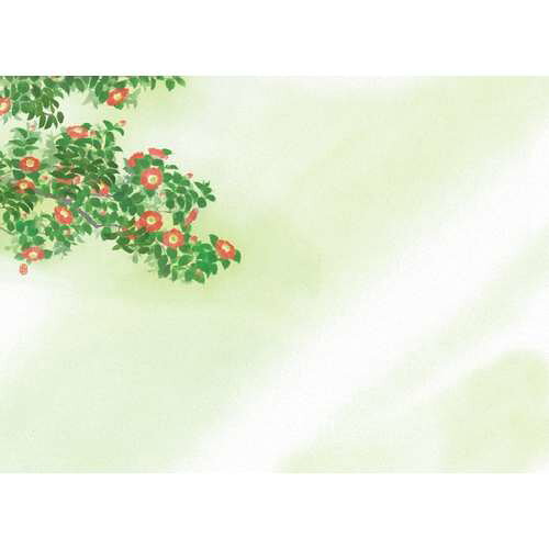 ■商品説明■商品名：尺3無四季彩まっと 花雅(はなみやび) 椿 (100枚入)メーカー：ヤマコーメーカー品番：21-375-09外形寸法：幅26×38.5cm(mm)お届け数：1商品コード：66458【配送料について】【ご注意】画面上の色は...