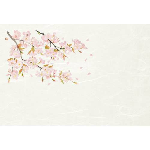 ■商品説明■商品名：尺3雲竜和紙懐石まっと 四季 桜 (50枚入)メーカー：ヤマコーメーカー品番：21-370-02外形寸法：幅26.4×39cm(mm)お届け数：1商品コード：64377【配送料について】【ご注意】画面上の色はブラウザやご...