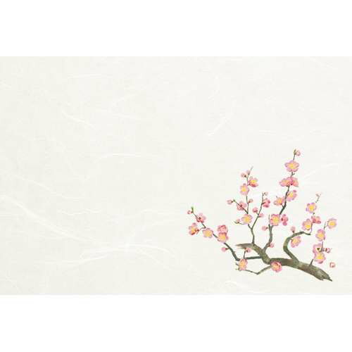 ■商品説明■商品名：尺3雲竜和紙懐石まっと 四季 梅 (50枚入)メーカー：ヤマコーメーカー品番：21-370-01外形寸法：幅26.4×39cm(mm)お届け数：1商品コード：64470【配送料について】【ご注意】画面上の色はブラウザやご...