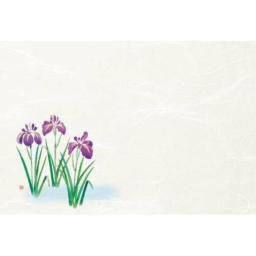 ■商品説明■商品名：尺3雲竜和紙懐石まっと 四季 菖蒲 (50枚入)メーカー：ヤマコーメーカー品番：21-370-03外形寸法：幅26.4×39cm(mm)お届け数：1商品コード：64471【配送料について】【ご注意】画面上の色はブラウザや...