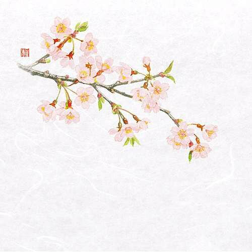 ■商品説明■商品名：4寸OP懐石敷紙 桜 (100枚入)メーカー：ヤマコーメーカー品番：21-394-02外形寸法：幅12×12cm(mm)お届け数：1商品コード：65111【配送料について】【ご注意】画面上の色はブラウザやご使用のパソコン...
