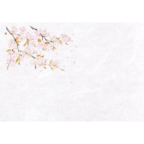 ■商品説明■商品名：尺5雲竜和紙懐石まっと 四季 桜 (100枚入)メーカー：ヤマコーメーカー品番：21-363-02外形寸法：幅31×45cm(mm)お届け数：1商品コード：65183【配送料について】【ご注意】画面上の色はブラウザやご使...