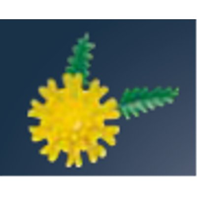 商品情報商品番号：7869500商品名：プリティフラワー 豆菊 LYメーカー：EBMサイズ/内容量/重量：-その他：1000入 配送料について【ご注意】画面上の色はブラウザやご使用のパソコンの設定により実物と異なる場合があります。JANコー...