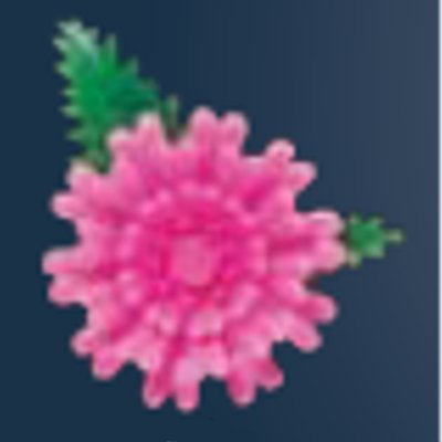 商品情報商品番号：7869800商品名：プリティフラワー ミニ菊 ピンクメーカー：EBMサイズ/内容量/重量：-その他：400入 配送料について【ご注意】画面上の色はブラウザやご使用のパソコンの設定により実物と異なる場合があります。JANコ...