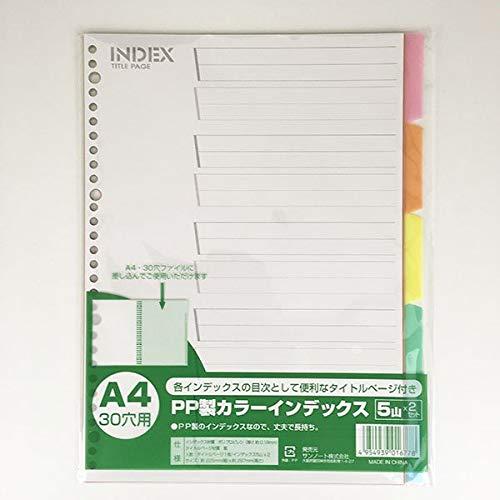 サンノート PPインデックス 1677 A4 10枚 5山【本体サイズ】 30.2cmx23.4cm