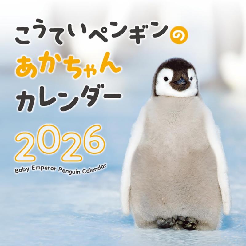 こうていペンギンのあかちゃんカレンダー2026 ([カレンダー])