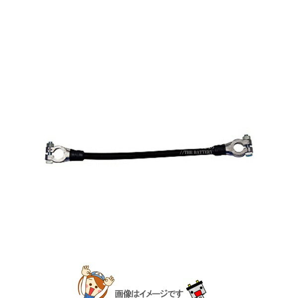 商品説明 ●適合ポールサイズ：（D端子）バッテリー連結線、端子の適合はD端子（大ポール）になります。●タイヤキャブコードを使用タイヤキャブを使用しているのでコードが柔らかく使用しやすい商品仕様 ●芯線構成：20SQ●長さ：300mm●重量：...