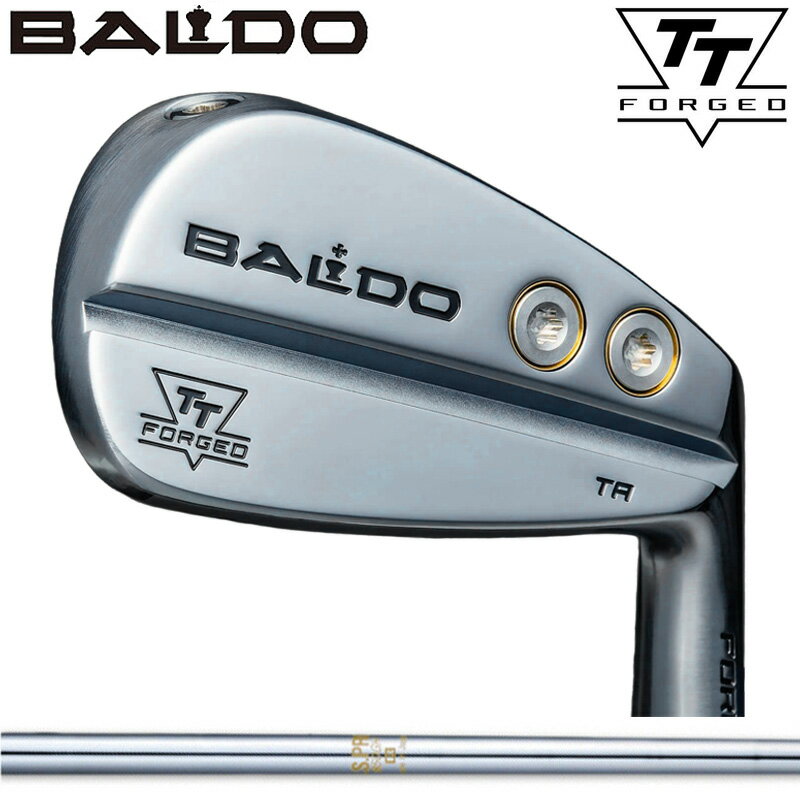 検索用： NSプロ NS850 ノーマル シルバー 軽量 軽い ゴールド ｜ 日本シャフト NIPPON SHAFT エヌ エス NSプロ NSPRO N.Sプロ N.Sプロ ｜ 5-P 6-G 6本セット 6本 SET 6I ティティ テ...