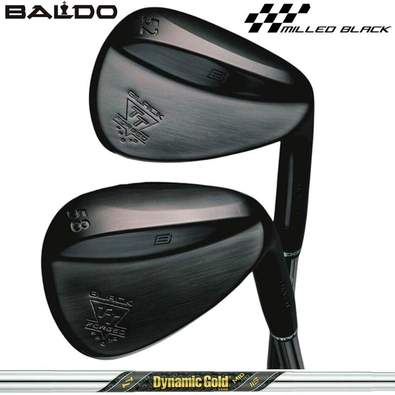 検索用： ブラック 黒 金 R300 S200 X100 スチール MID115 ミッド115 ｜ True Temper ダイナミックゴールド DG Dynamic Gold TrueTemper dynamicgold ｜ 48度 50...