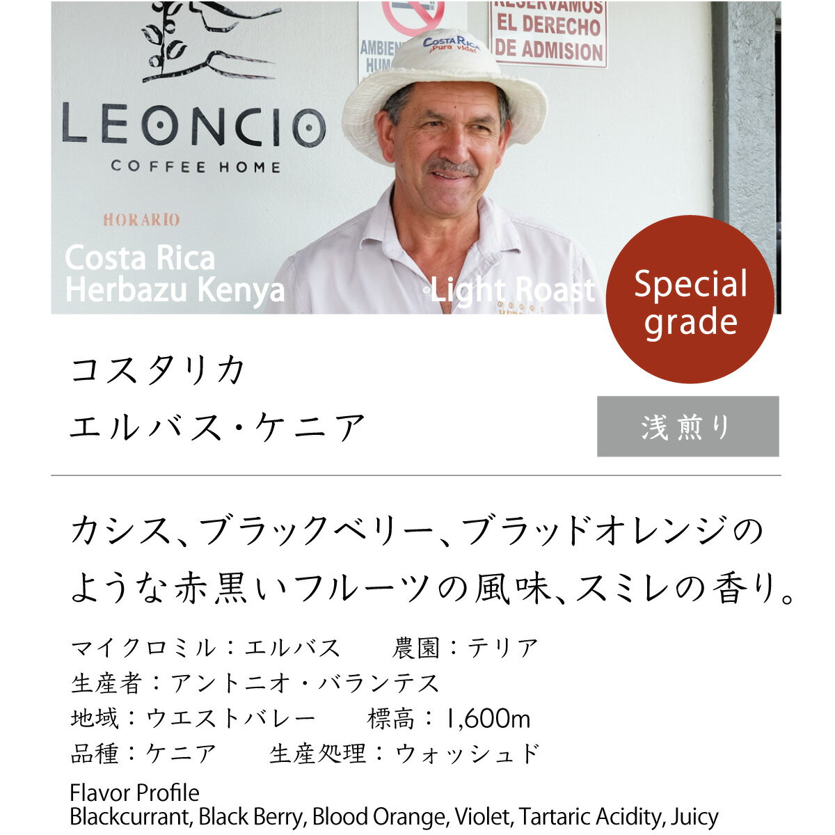 ●賞味期限 　　粉の場合：出荷日から常温で3週間、 　　　　　　　　　冷蔵庫で1ヶ月、冷凍庫で3ヶ月 　　豆の場合：出荷日から常温で2ヶ月、 　　　　　　　　　冷蔵庫で3ヶ月、冷凍庫で6ヶ月 　　上記は目安です。時間経過とともに徐々に香りが...