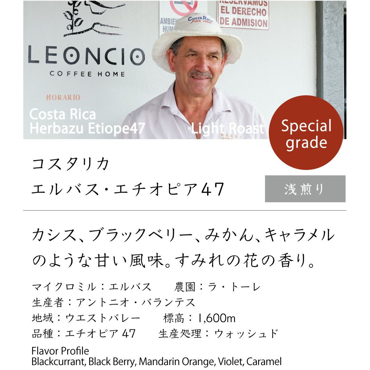 ●賞味期限 　　粉の場合：出荷日から常温で3週間、 　　　　　　　　　冷蔵庫で1ヶ月、冷凍庫で3ヶ月 　　豆の場合：出荷日から常温で2ヶ月、 　　　　　　　　　冷蔵庫で3ヶ月、冷凍庫で6ヶ月 　　上記は目安です。時間経過とともに徐々に香りが...