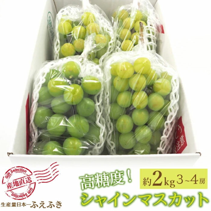 8月下旬出荷 送料無料 山梨県 笛吹市産 シャインマスカット 2Kg 3～4房 日本一！厳選！朝取れ！ 山梨笛吹市産シャインマスカットです。酸味と甘みのバランスがとてもよく美味しい！シャインマスカットは果粒が大きく、皮ごと果肉と一緒に食べる...