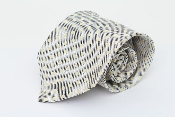【状態追記】 --- 【付属品】 なし / 商品サイズ (こちらのサイズ表記は平置き採寸のサイズです。) 表記サイズネクタイ全長大剣幅小剣幅 ---約149cm約9.5cm約4cm サイズガイドはこちら /商品詳細 ブランド名 AIGNER...