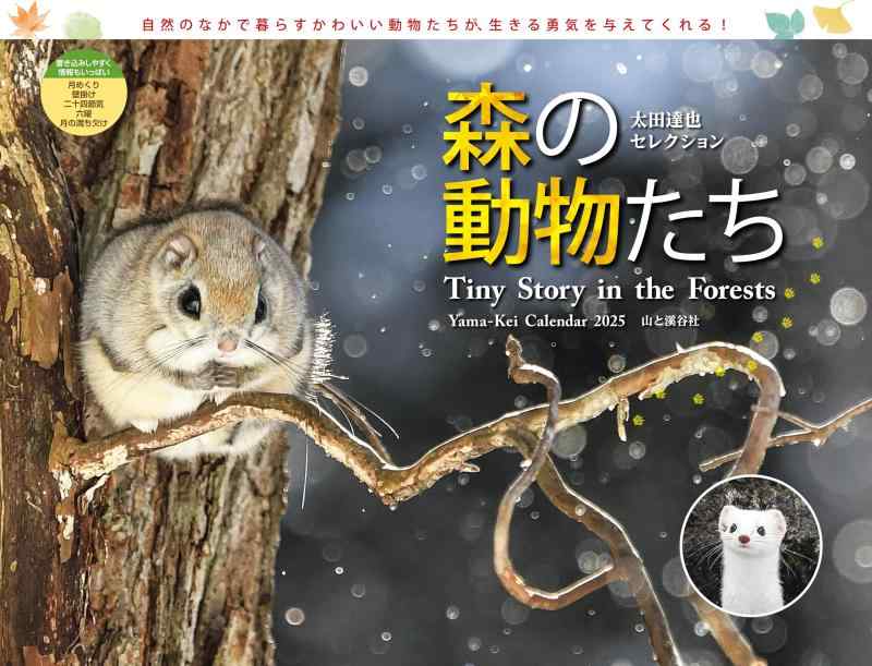 カレンダー2025 太田達也セレクション 森の動物たち Tiny Story in the Forests（月めくり/壁掛け） (ヤマケイカレンダー2025)