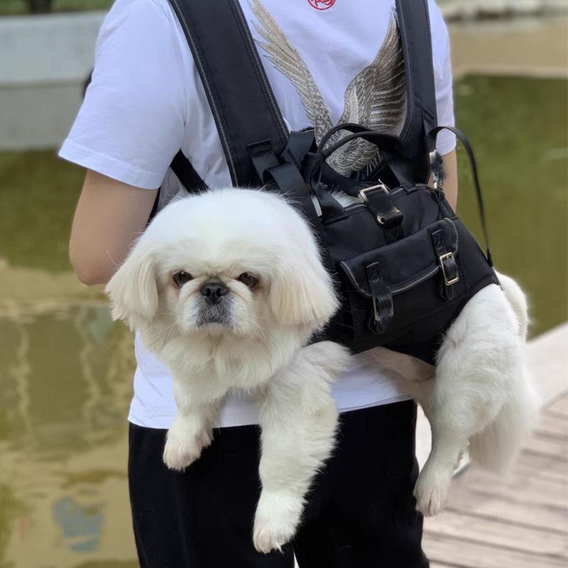 抱っこひも 犬 ペットキャリー キャリ ペット ペットグッズ 続々入荷中 A:S【2~4.5kg】 B:M【4~8kg】 C:L【8.5~13.5kg】